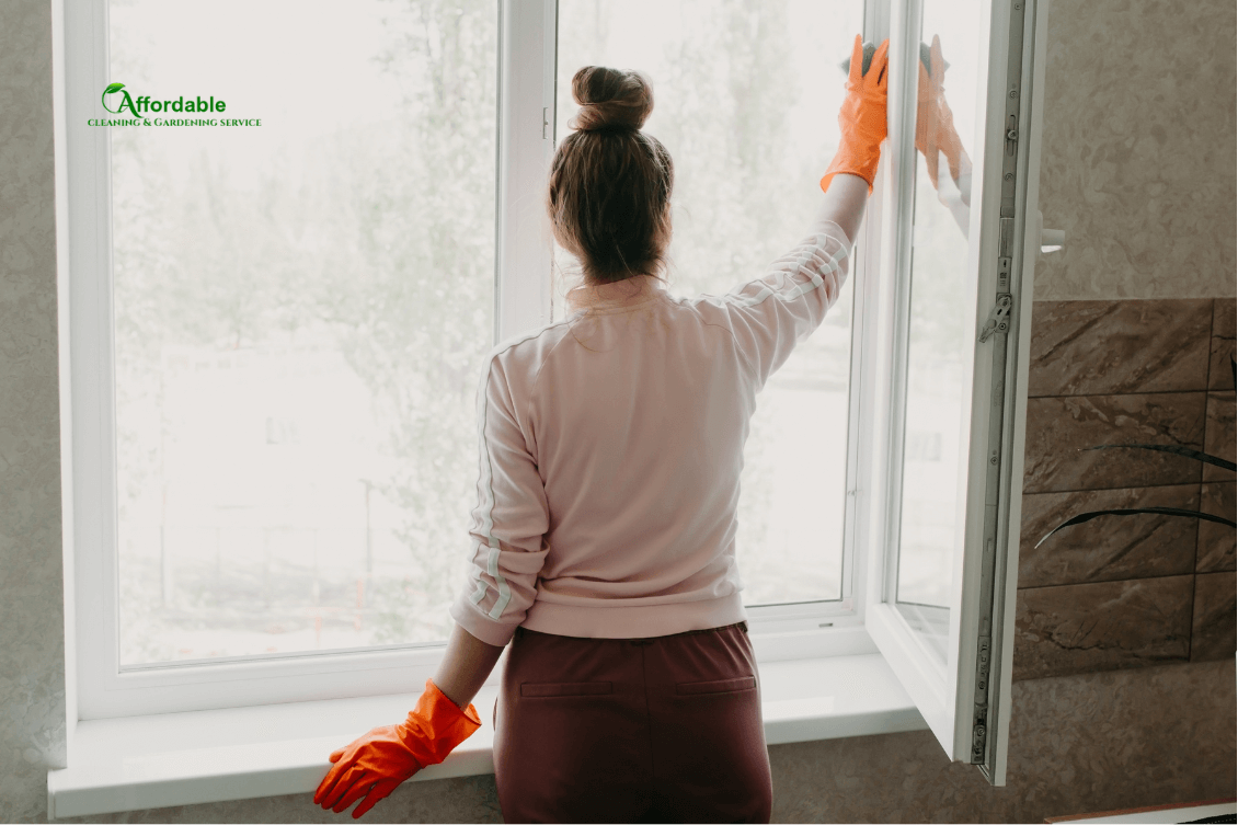 How to Wash Your Windows: A Detailed Guide